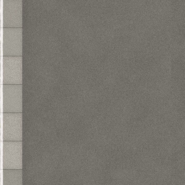 TX225-OO Weathered Asphalt With Concrete Coping Platform Texture Sheets ...