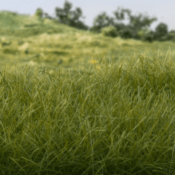 Woodland Scenics Dark Green Static Grass - 2mm | 4mm | 7mm | 12mm ...